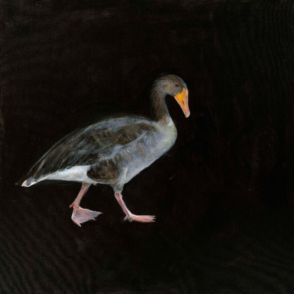 Anna Lockwood – Oxfordshire Artweeks